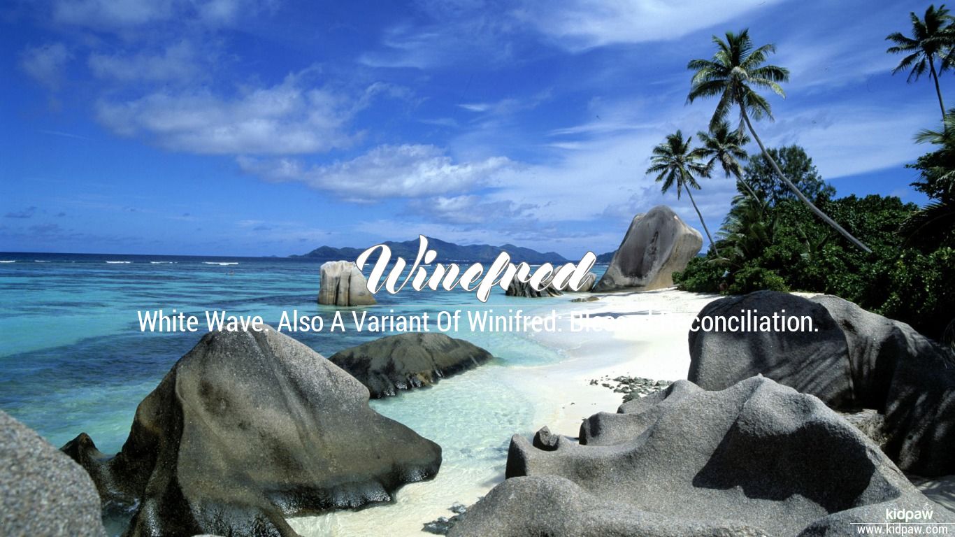 Winefred 3D Name Wallpaper for Mobile, Write Name on Photo Online