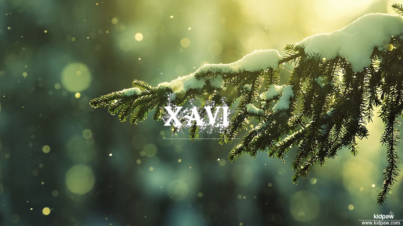 Xavi 3D Name Wallpaper for Mobile, Write Name on Photo Online