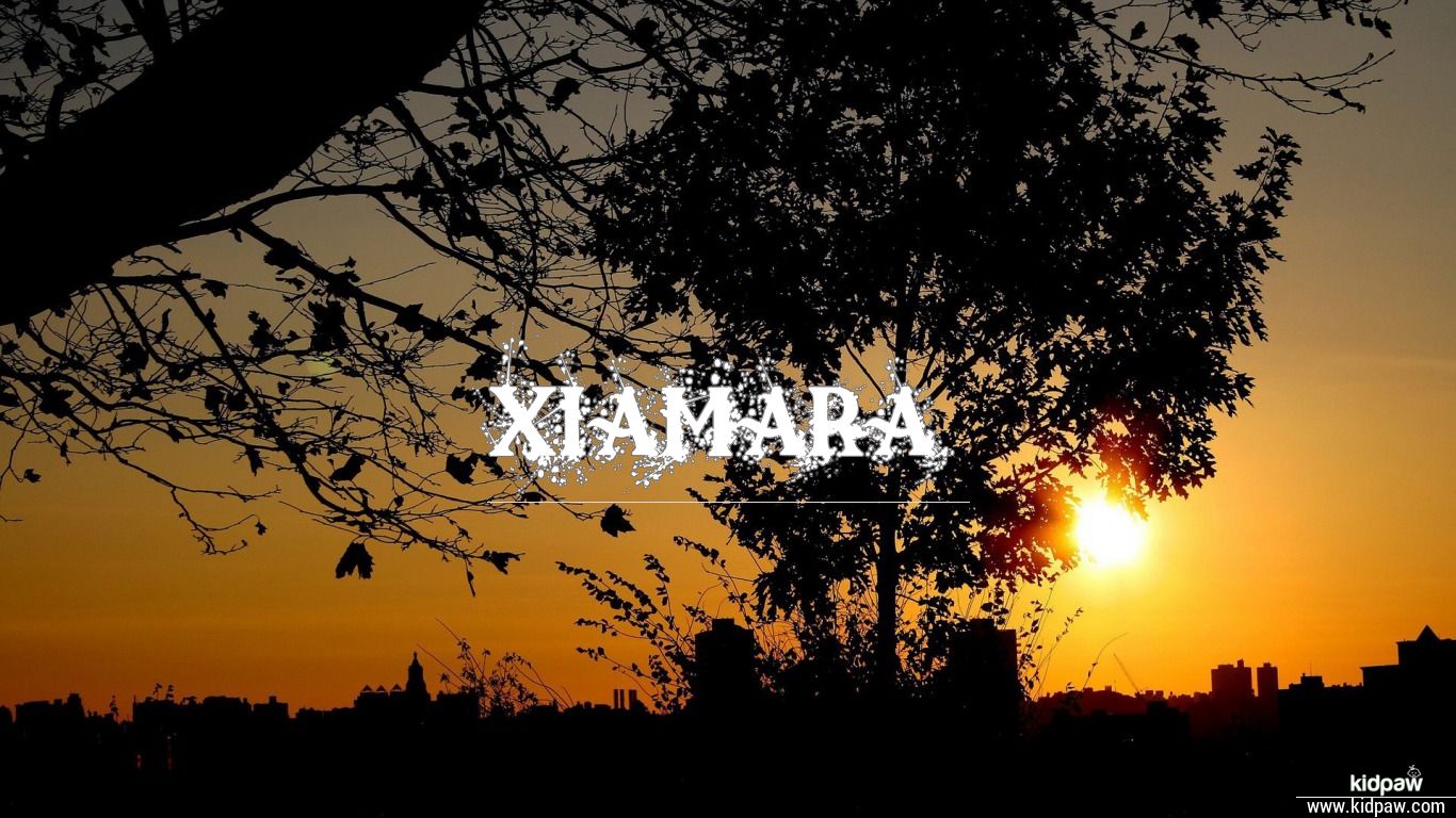 Xiamara 3D Name Wallpaper for Mobile, Write Name on Photo Online