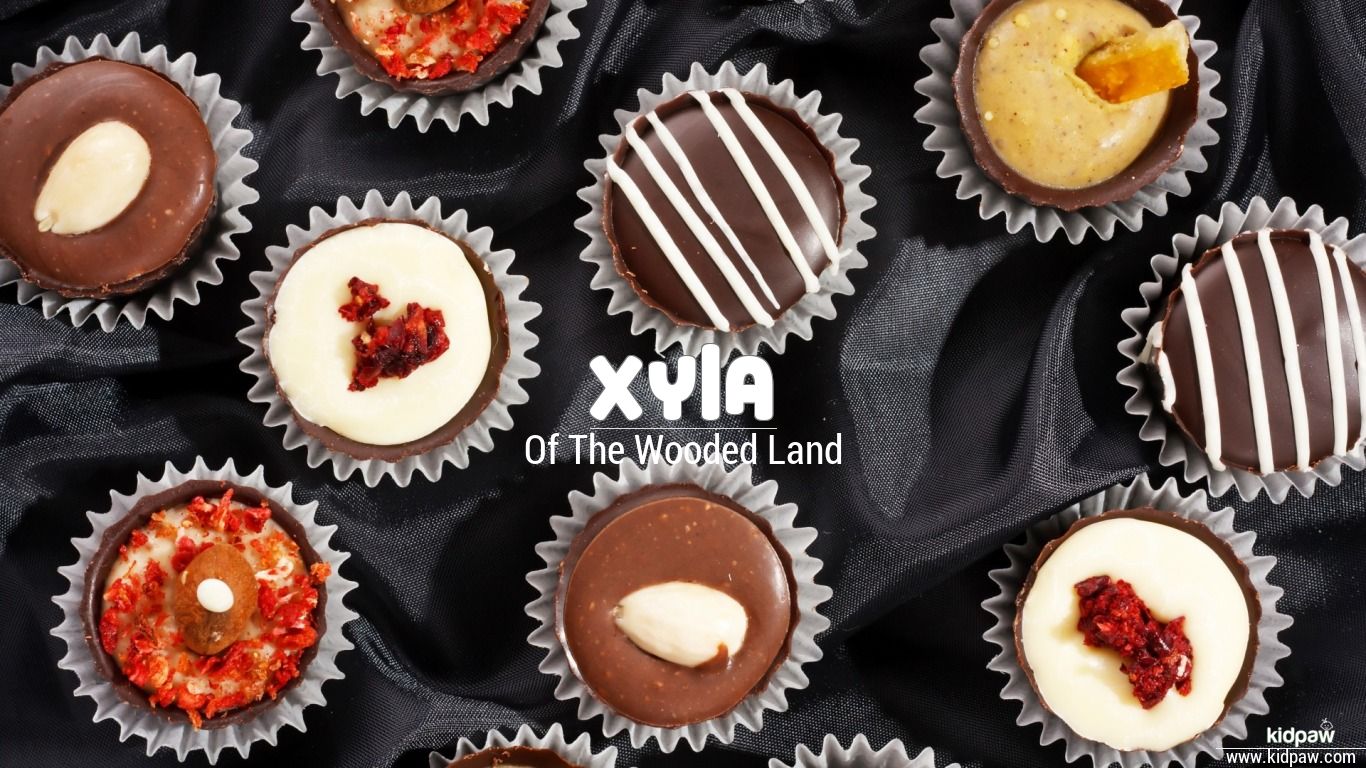 Xyla Meanings in English, Popularity, Origin
