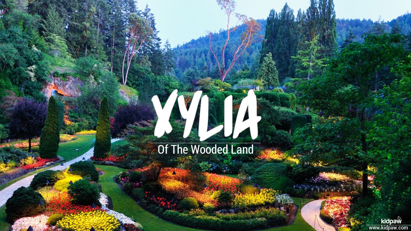 Xylia 3D Name Wallpaper for Mobile, Write Name on Photo Online