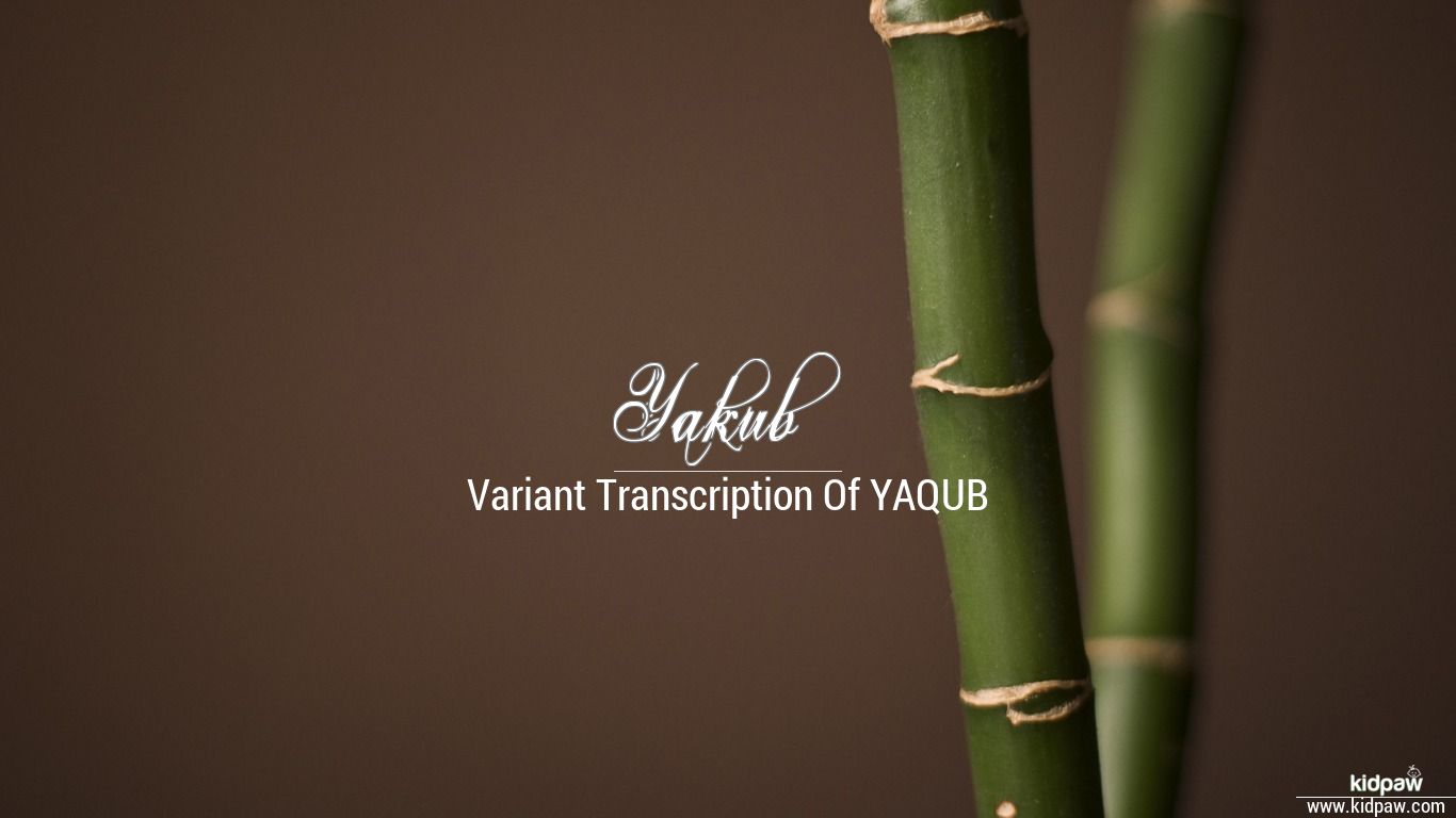 Yakub Name Meaning in English & Urdu, Origin, Luck Number