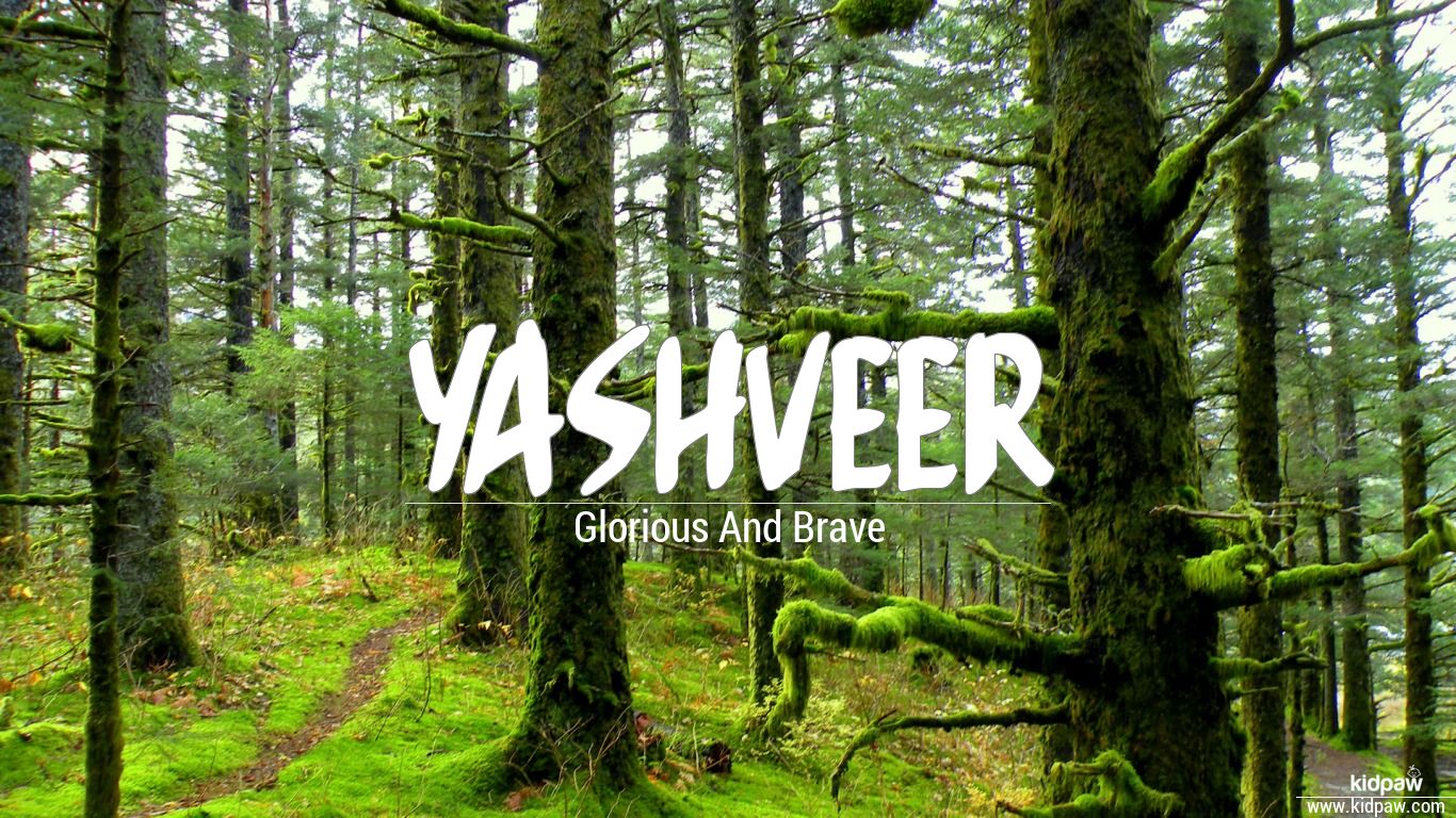 Yashveer 3D Name Wallpaper for Mobile, Write यश्वीर Name on Photo Online