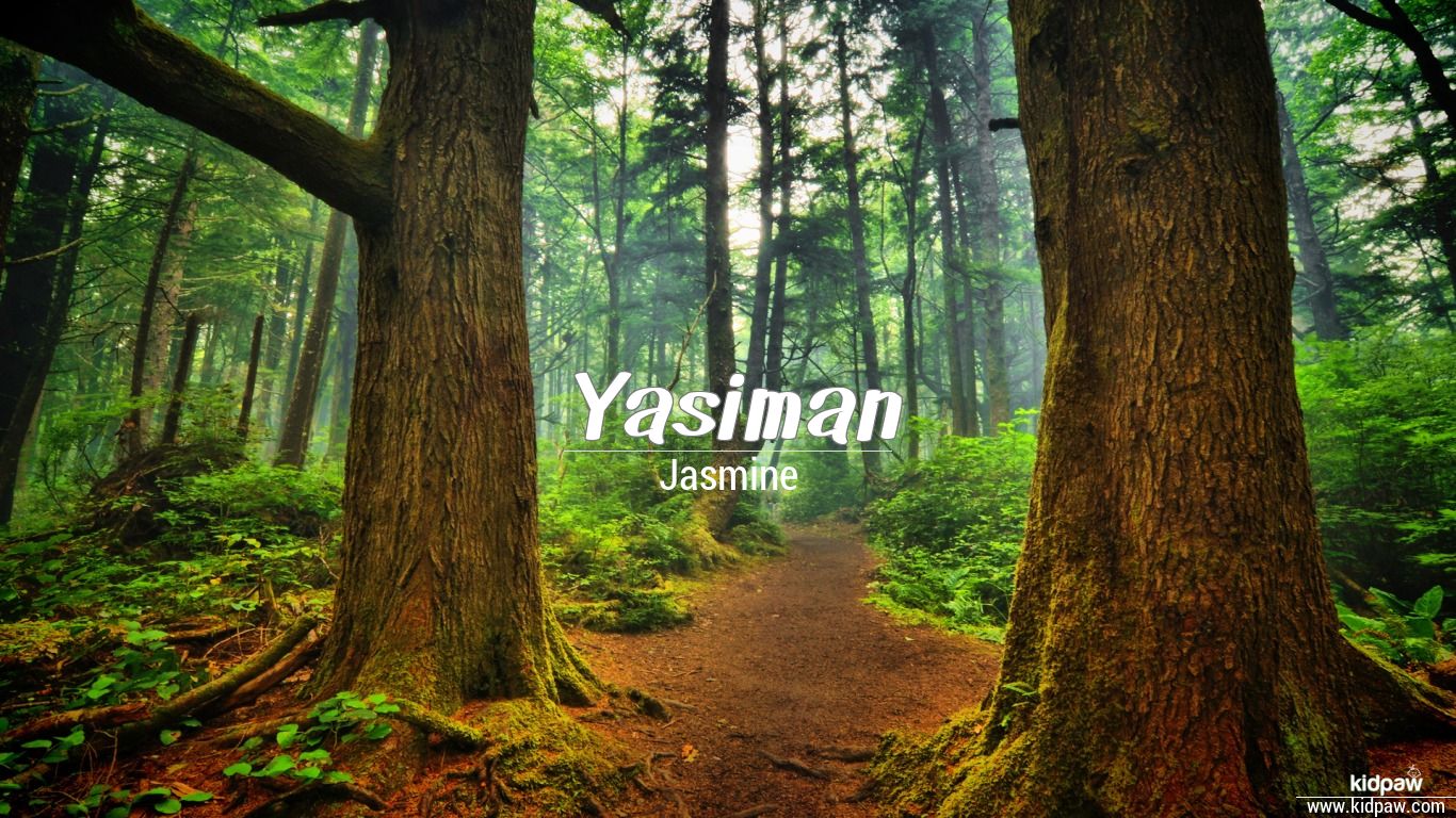 Yasiman 3D Name Wallpaper for Mobile, Write यसीमान Name on Photo Online