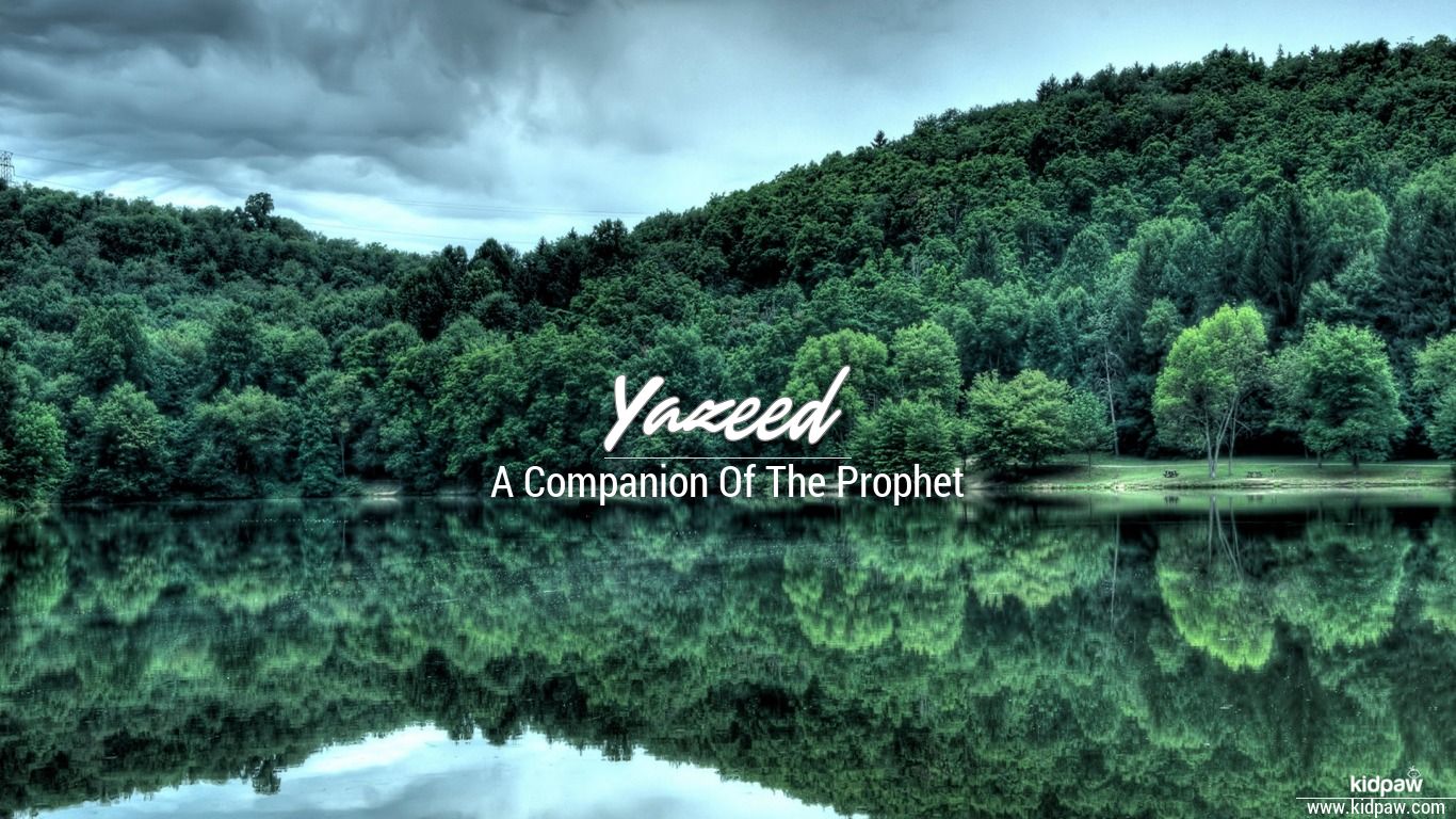 Yazeed Name Meaning in Urdu یزید نام کی تفصیل، لکی نمبر