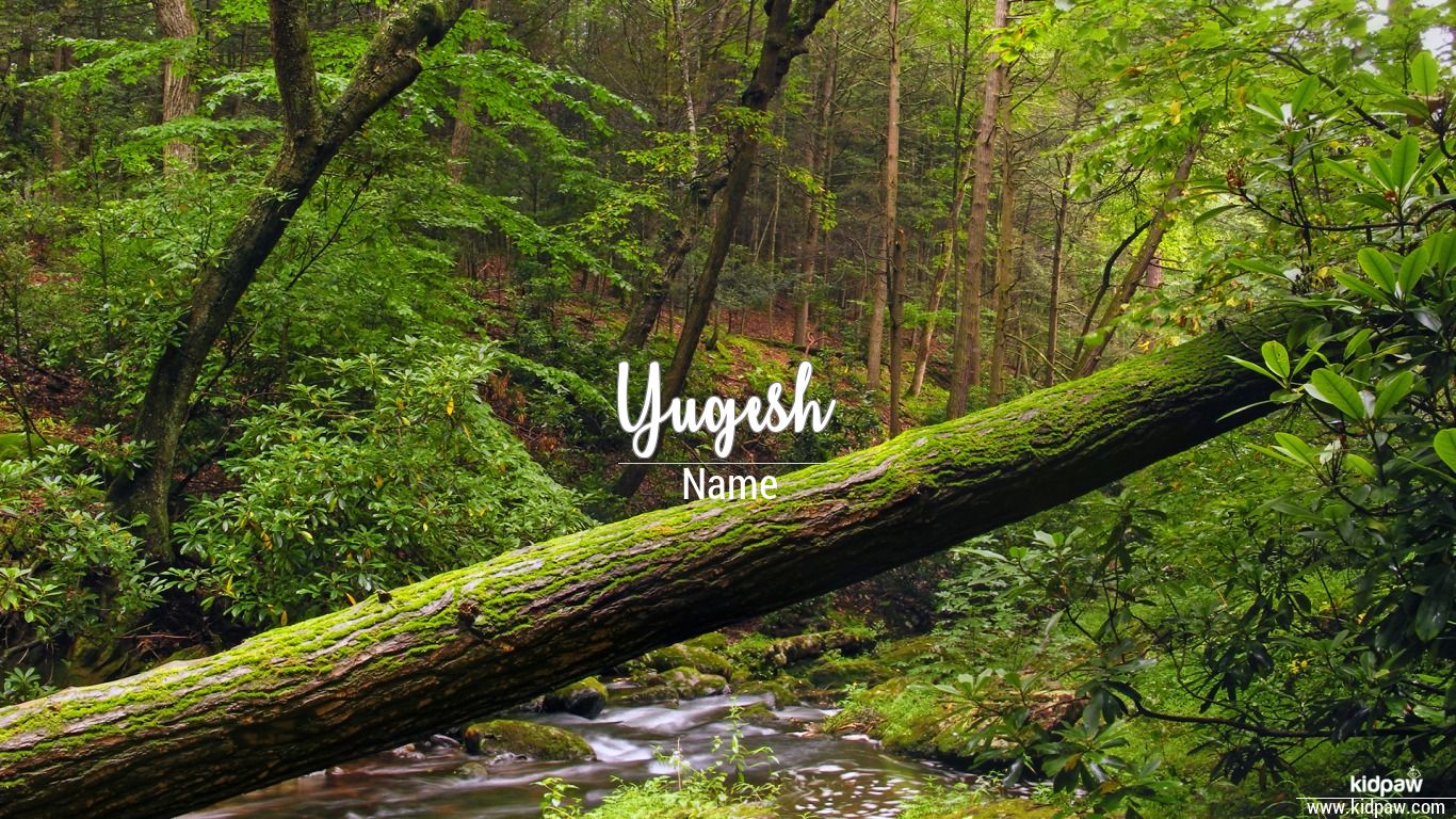 युगेश | Yugesh Name Meaning in Hindi & English, Rashi, Nakshatra ...
