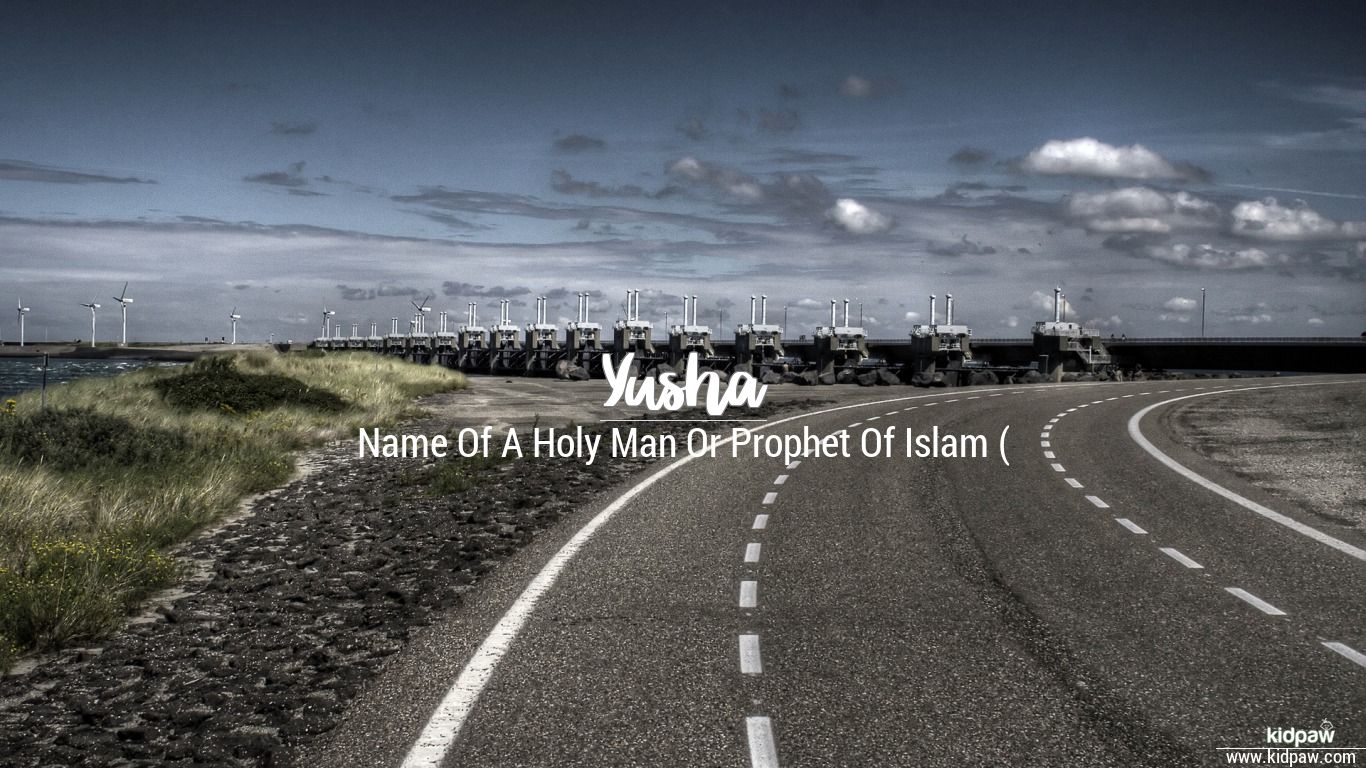 Yusha Name Meaning in English & Urdu, Origin, Luck Number