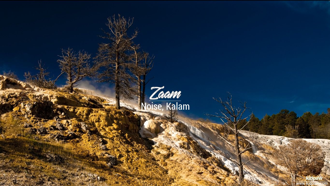 Zaam Name Meaning in English & Urdu, Origin, Luck Number