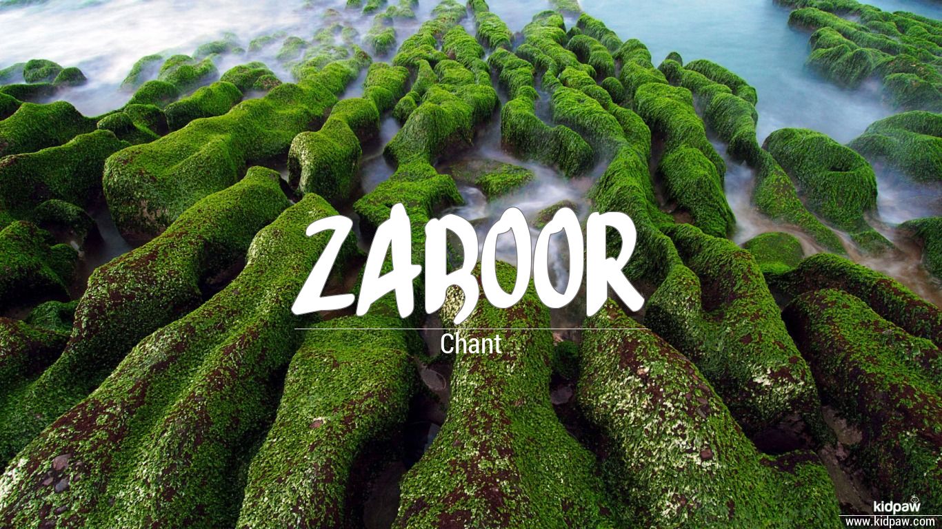 Zaboor 3D Name Wallpaper for Mobile, Write زبور Name on Photo Online
