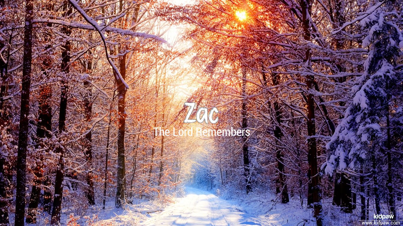 Zac Meanings in English, Popularity, Origin