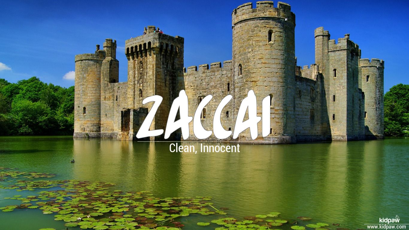 Zaccai 3D Name Wallpaper for Mobile, Write Name on Photo Online