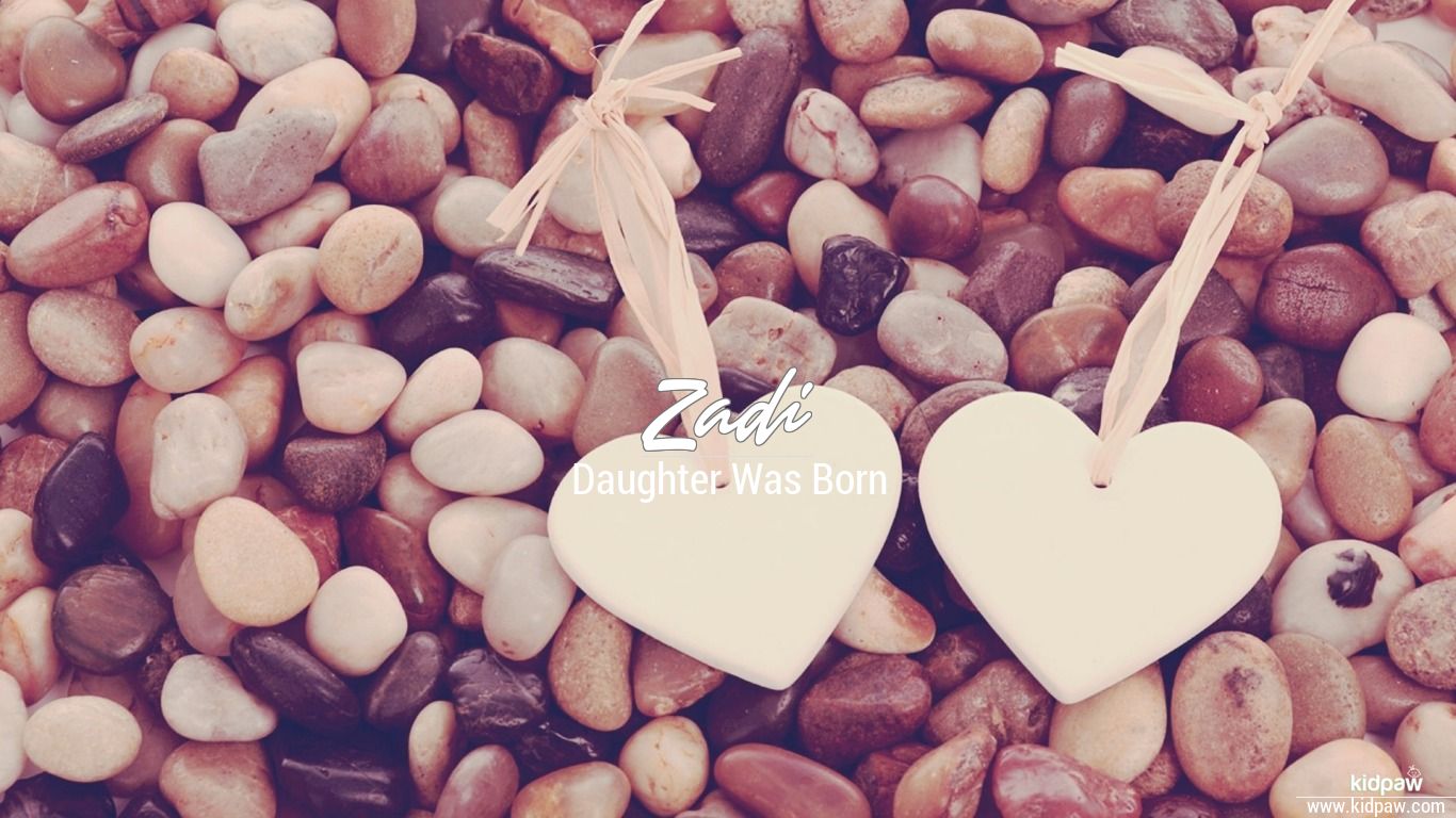 Zadi 3D Name Wallpaper for Mobile, Write Name on Photo Online