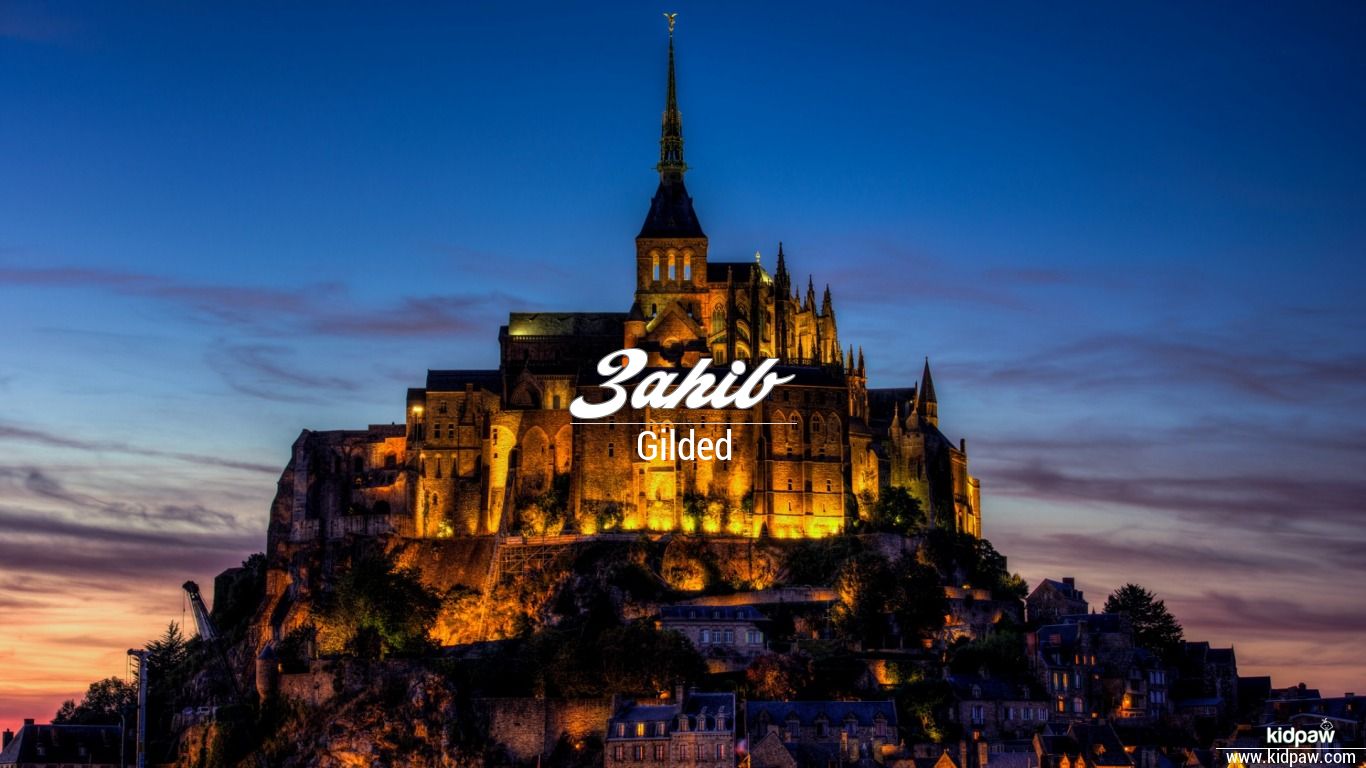 Zahib Name Meaning in English & Urdu, Origin, Luck Number