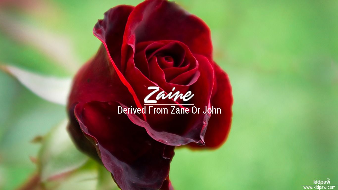 Zaine 3D Name Wallpaper for Mobile, Write Name on Photo Online