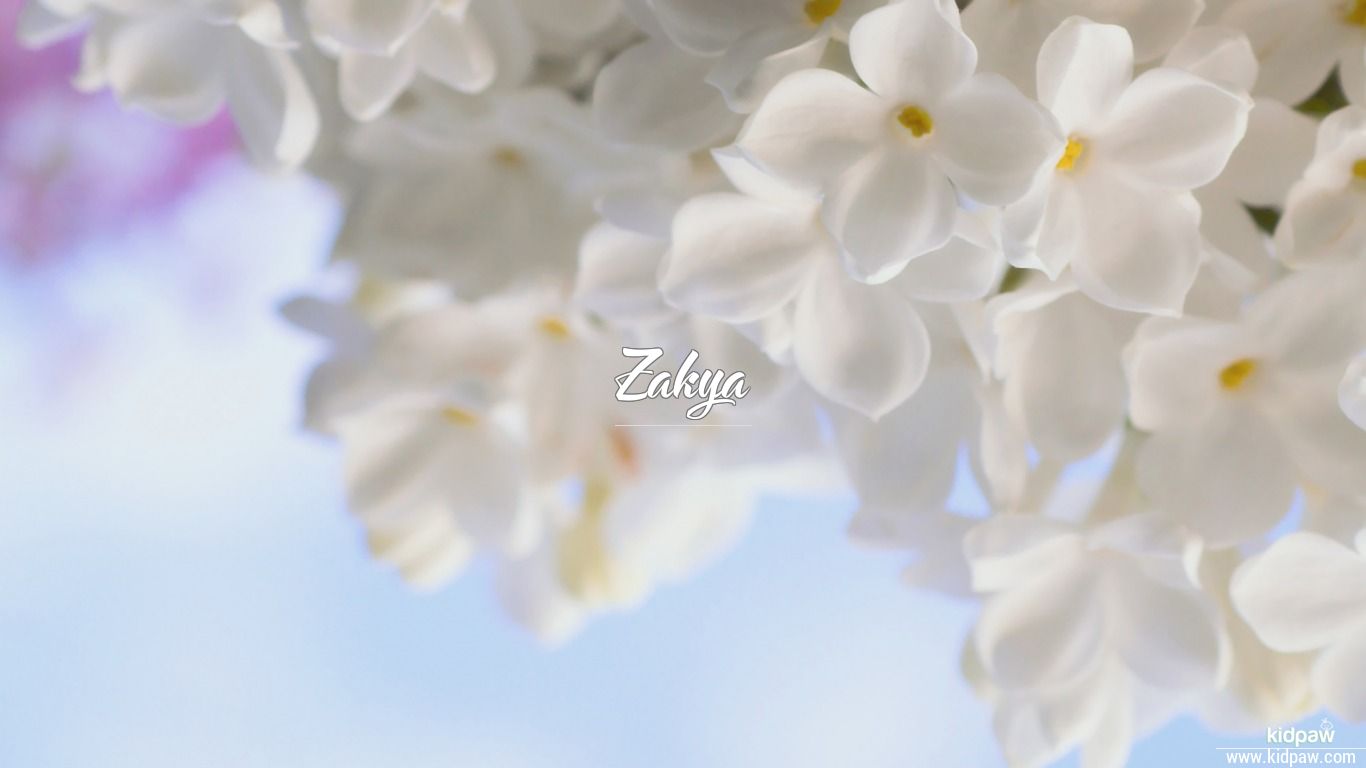 Zakya 3D Name Wallpaper for Mobile, Write Name on Photo Online