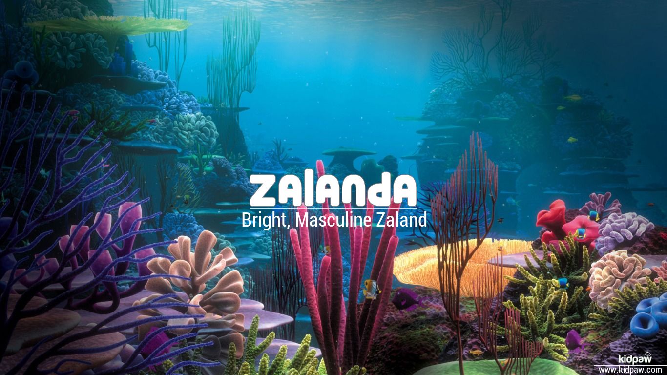 Zalanda 3D Name Wallpaper for Mobile, Write زلندہ Name on Photo Online