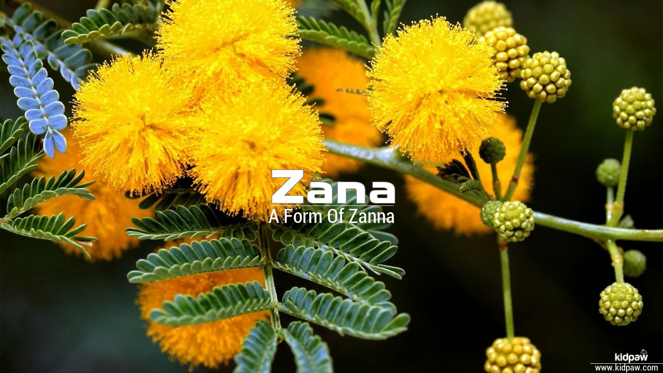 Zana 3D Name Wallpaper for Mobile, Write Name on Photo Online