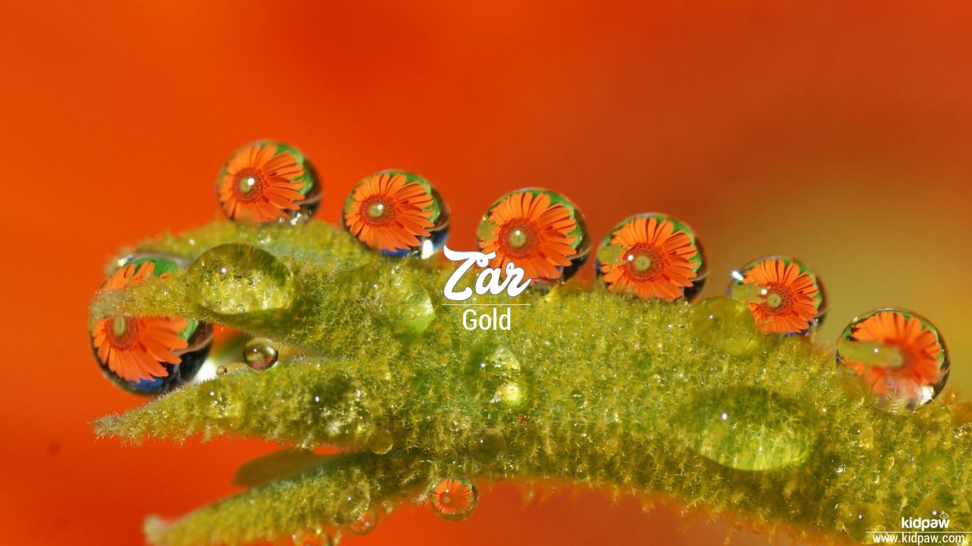 Zar 3D Name Wallpaper for Mobile, Write Name on Photo Online