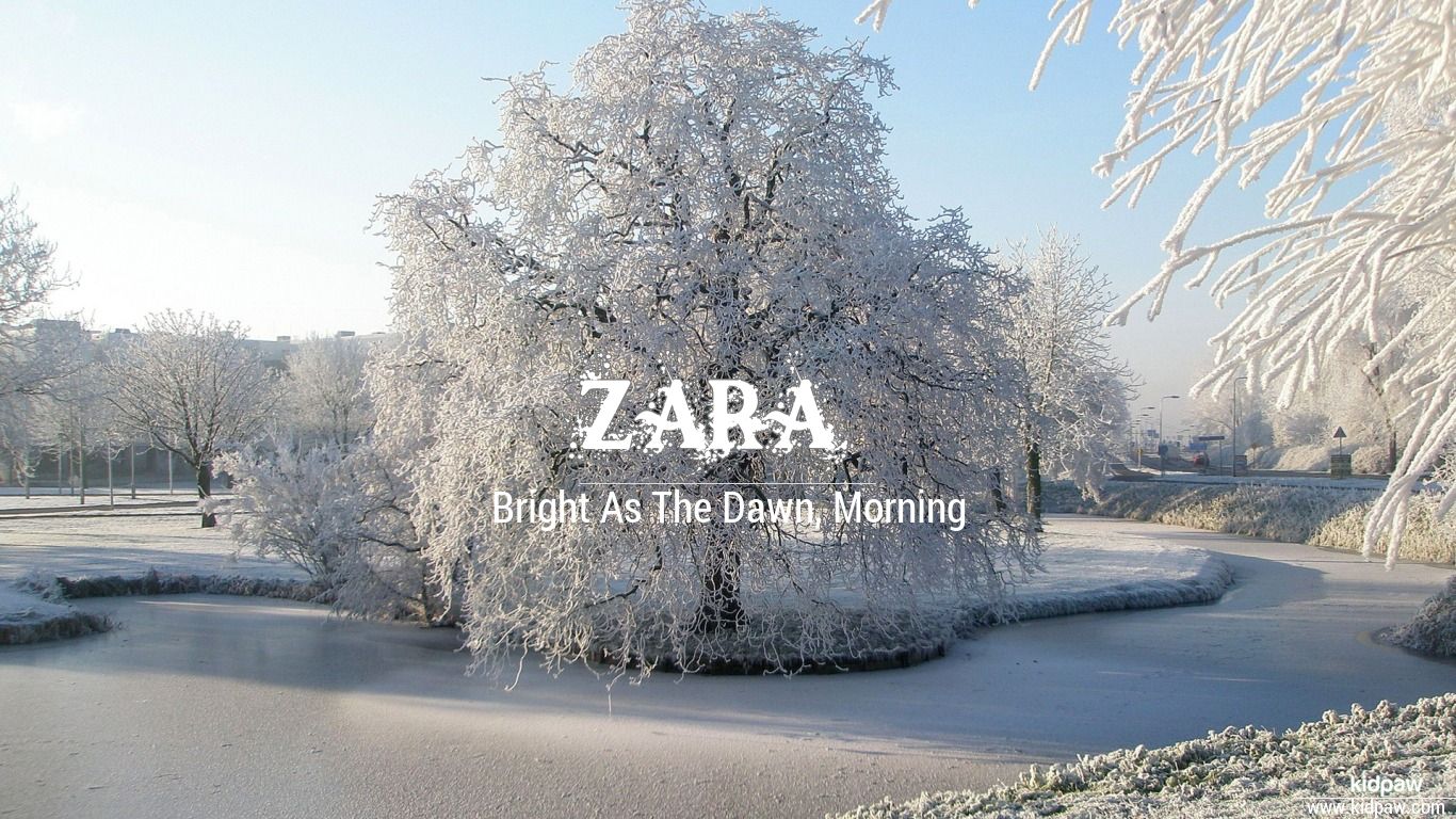 Zara Name Meaning in English & Urdu, Origin, Luck Number