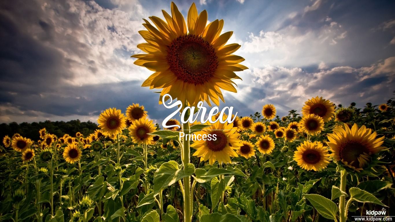 Zarea 3D Name Wallpaper for Mobile, Write Name on Photo Online