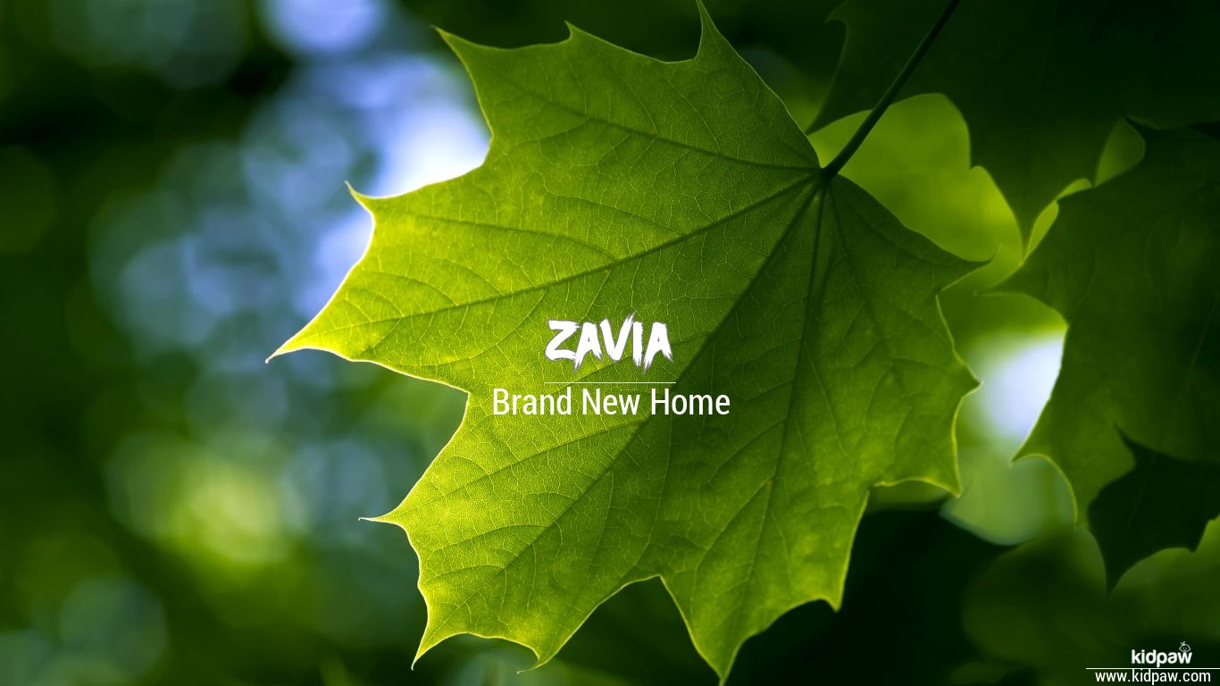 Zavia Meanings in English, Popularity, Origin