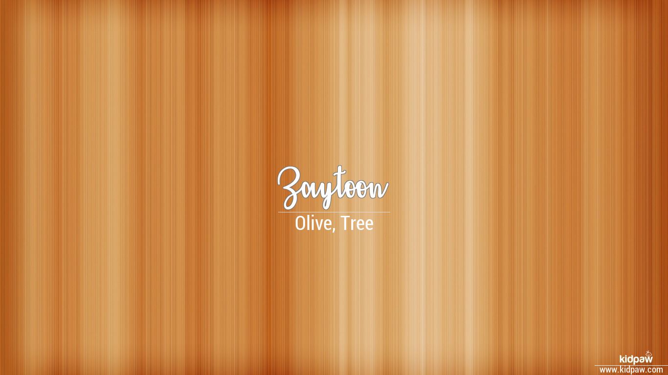 Zaytoon 3D Name Wallpaper for Mobile, Write زیتون Name on Photo Online