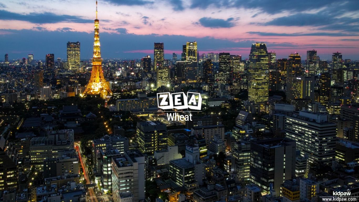 Zea 3D Name Wallpaper for Mobile, Write Name on Photo Online