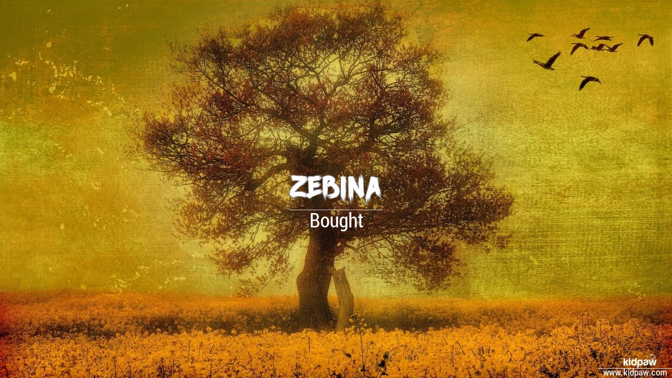 Zebina 3D Name Wallpaper for Mobile, Write Name on Photo Online