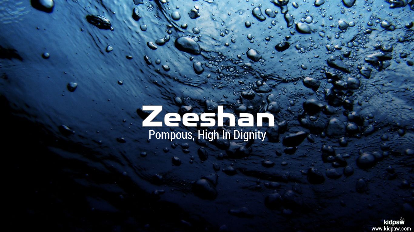 Zeeshan Name Meaning in English & Urdu, Origin, Luck Number