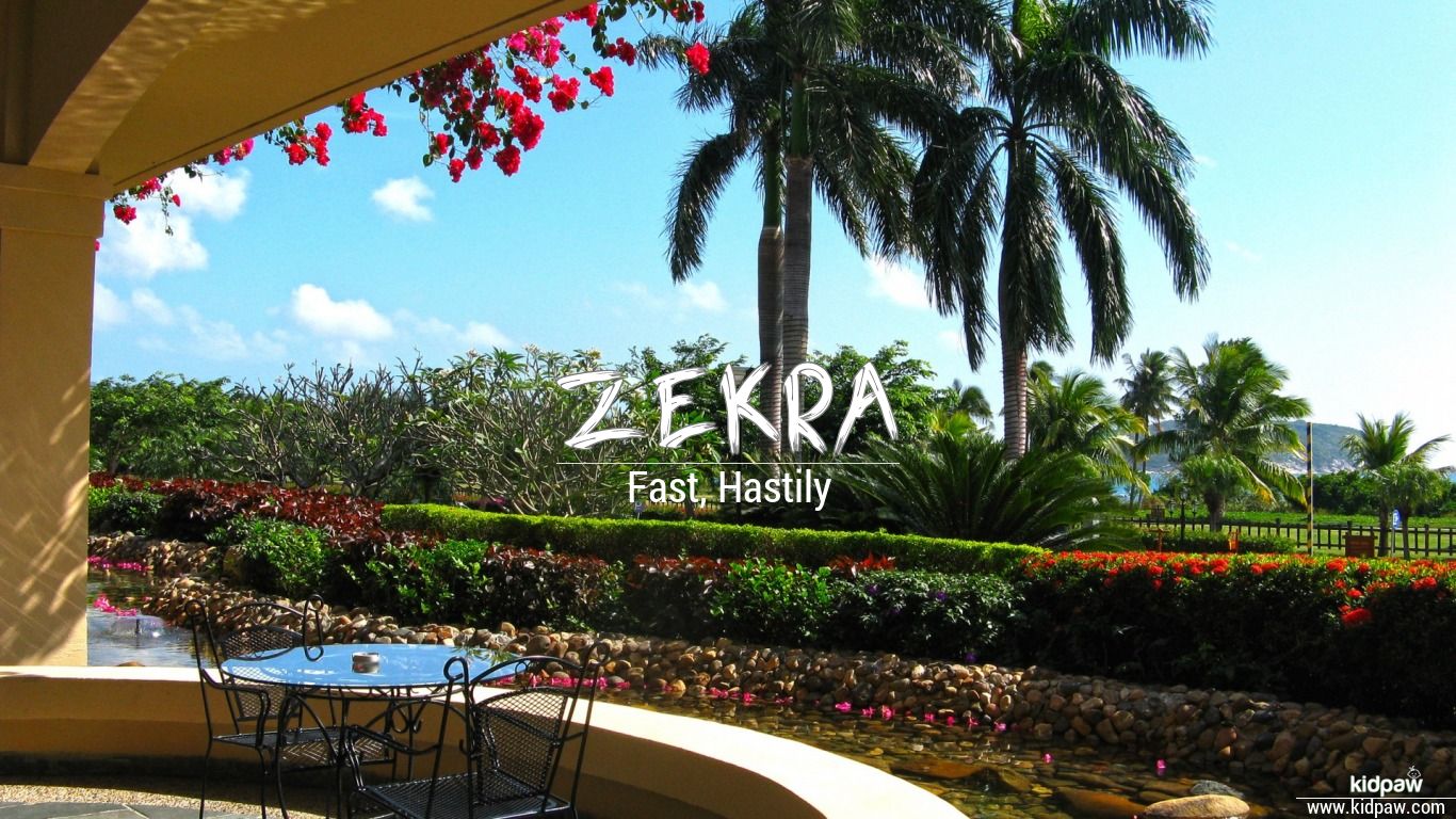 Zekra 3D Name Wallpaper for Mobile, Write Name on Photo Online