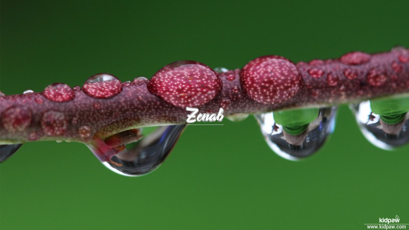 Zenab 3D Name Wallpaper for Mobile, Write Name on Photo Online