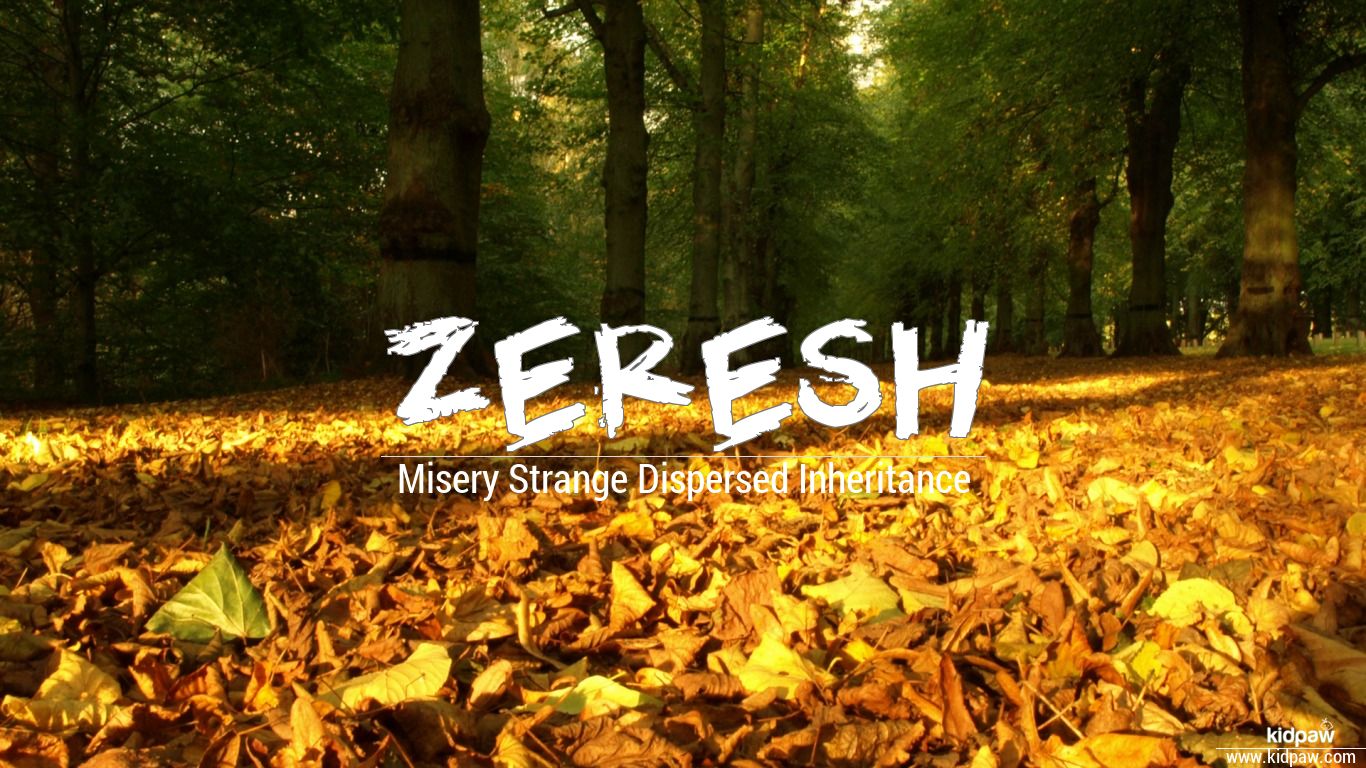 Zeresh 3D Name Wallpaper for Mobile, Write Name on Photo Online