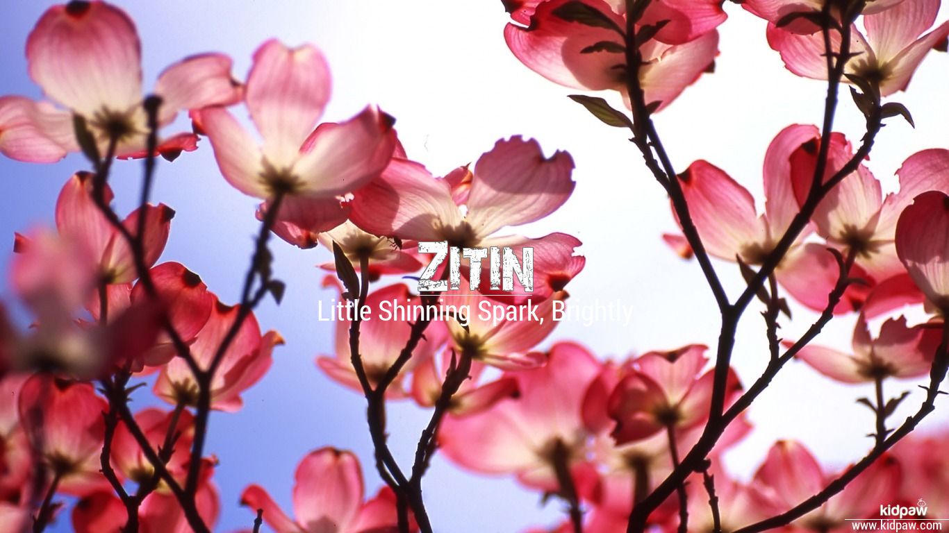 Zitin 3D Name Wallpaper for Mobile, Write झीतीन Name on Photo Online