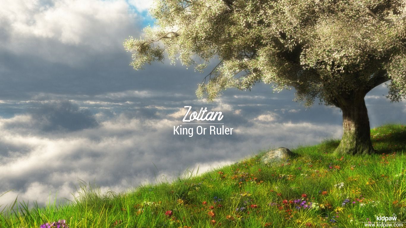 Zoltan 3D Name Wallpaper for Mobile, Write Name on Photo Online