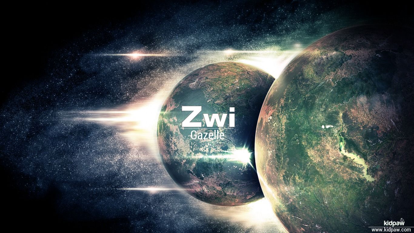 Zwi Meanings in English, Popularity, Origin
