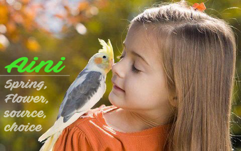 132 Famous Translators Birthday, Biography & Family